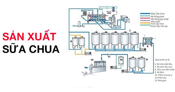 Quy Trình Sản Xuất Sữa Chua | CNSG