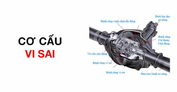 Những điều Cần Biết Về Cơ Cấu Vi Sai | CNSG